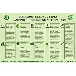 Herb Grow Kit, 10 Herb Seeds Garden Starter Kit, Complete Potted Plant Growing Set Including White Pots, Markers, Nutritional Soil, Watering, Herb Clipper for Kitchen Herb Garden DIY