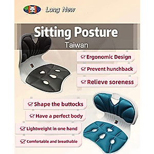 Taiwan Hip Comfortable Lumbar Back Support. Perfect for Home, Office, Desk Chair. Technology for Pelvic Correction. Low Back (Grey) Pain Relief