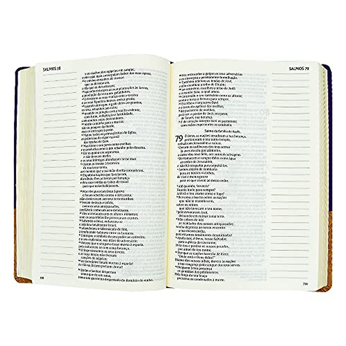 Sua Bíiblia - Letra grande - Roxa