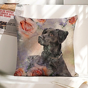 Dog Black Lab Labrador Throw Pillow Covers 18X18 Pillow Cushion Cases, Modern Decorative Square Pillowcases for Sofa Couch Bedroom Living Room Car