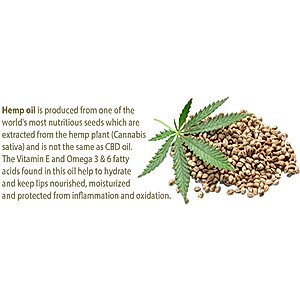 InstaCure Doggy Derma Balm Jumbo-Sized Skin Repair Stick w/Manuka Honey. Soothes & Heals Dog's Dry Cracked Noses, Paws, Bulldog Wrinkles 100% Natural (1-Pack)