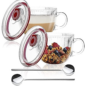 OULOVECO Glass Cereal Bowl Clear Oatmeal Bowl with Handle Spoon,Glass Coffee Mug with Lids Milk Breakfast Bowls Yogurt Bowl for Latte Tea Microwave Safe,400ml/13.5 oz,Set of 2
