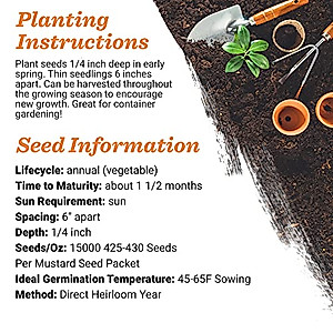 Bentley Seeds with Faith Pre Filled Giant Curled India Seed Packets - 25 Individual Mustard Seed Packs - Ideal for Party Favors - Non-GMO - Eco-Friendly Spring to Fall Gift - Outdoor Garden Seeds