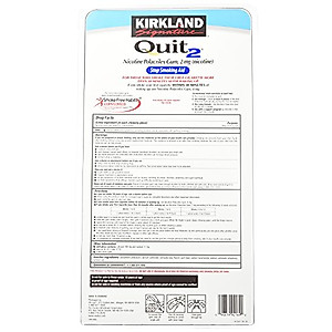 Kirkland Signature Quit Smoking Gum, 2 mg, 380 Count