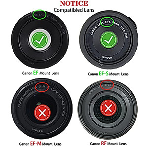 [4Pack] Rear Lens Cap Cover Compatible with All Canon EOS EF EF-S Camera Lens,EOS Rebel T7 T6 T5 90D 80D 77D 70D 60D 5Ds 1DX 5D 7D / 6D Mark II III 200D Rebel SL3 SL2 T8i T7i T6i T6S T4i T5i T5 T3