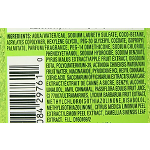 Garnier Fructis Fortifying SHampoo, Hydra Recharge for All Hair Types 13 oz