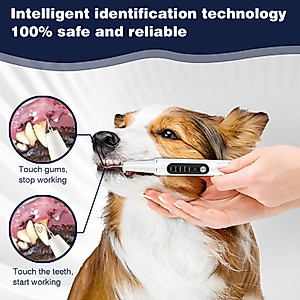 FHZRLP Dog Plaque Remover for Teeth,Dog Tooth Tartar Remover,5 Modes Pet Ultrasonic Tooth Cleaner, Dental Care Teeth Cleaning Kit, Teeth Cleaner for Large and Small Dogs