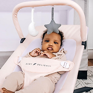 Baby Delight Alpine Deluxe Portable Bouncer | Infant | 0 – 6 Months | Peony Pink