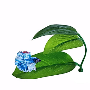 DOIDO Betta Bed Leaf Hammock, Silk Betta Fish Leaf Hammocks Pad Lounger Toys Lightweight and Realistic Fish Hideout Plastic Aquarium Plants Accessories for Fish Tank Decorations (2pcs)