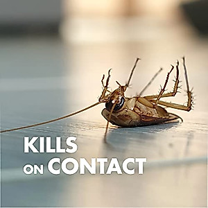 Spectracide Bug Stop Home Barrier, Kills Ants, Roaches and Spiders On Contact, Indoor and Outdoor Insect Control, 1.33 Gallon (RTU Accushot Spray), Plain