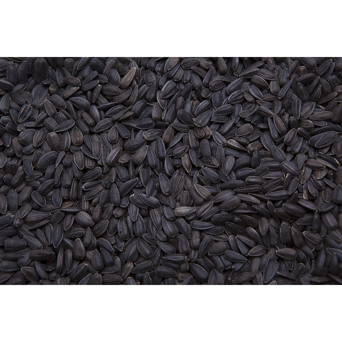Des Moines Wild Bird Feed Sunflower Seed - Black Oil (7.00)
