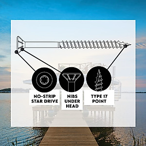 #10 x 3 Inch Stainless Steel Deck Screws 100 Pieces | T25 Star Torx Drive Stainless Steel Wood Screws | Driver Included | Allen's Trading Co. Eagle Claw Fasteners