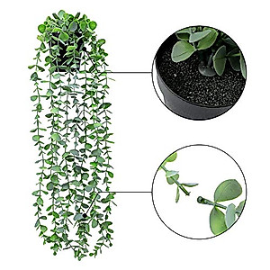 FUNARTY 3 Pack Fake Plants Decor Small Artificial Hanging Plants Fake Eucalyptus Plants Faux Greenery Vine Plants in Pot for Home Indoor Outdoor Décor