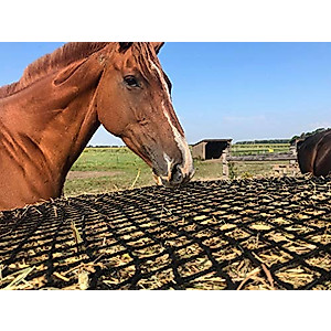 TECH EQUESTRIAN Upgraded 4-5mm Thick Round Bale Slow Feed Hay Net 5x4 (Hole_Size_2.5" inches)