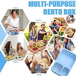 TOTDTDA 12 Pack Bento Box, 3 Compartment Lunch Box Containers, Wheat Straw Reusable Food Storage Containers, Freezer Microwave and Dishwasher Safe Snack Containers for Work School and Travel