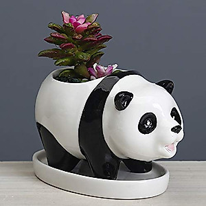 Gemseek Cute Panda Succulent Planter Pot with Drainage Tray, White Ceramic Flower/Cactus Holder, Animal Bonsai Container for Indoor Plants