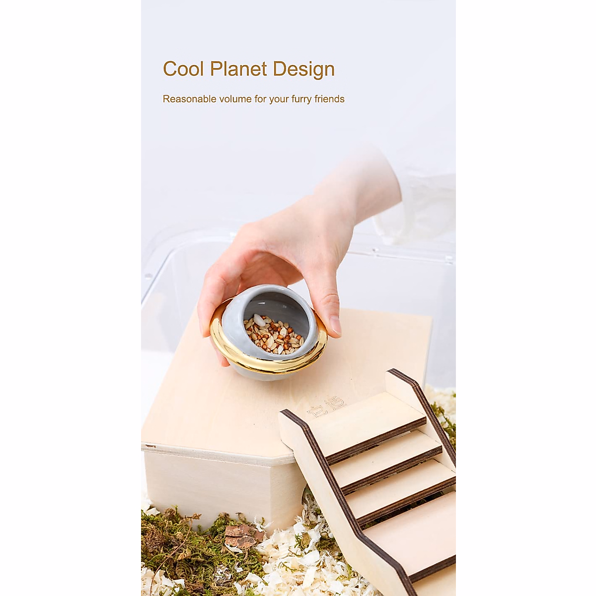 iHOO Hamster Feeding & Water Food Bowls,Planet Shape Ceramic Bowl for Dwarf Syrian Hamsters Gerbils Mice Rats Small Animals(Planet Type 2)