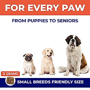 Omega 3 + Grass Burn Spot Dogs Bundle - Skin&Coat + Pee Lawn Spot Saver - EPA&DHA Fatty Acids + w DL-Methionine - Heart, Hip& Joint Support + Dog Pee Lawn Repair - 300 Chews - Made in USA