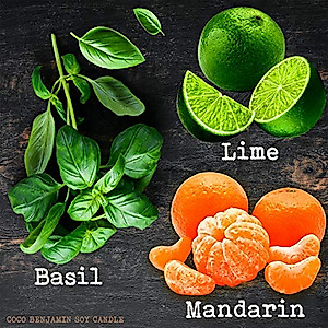(Basil, Lime & Mandarin) 8.1 oz,100% Soy, Hand Poured Soy Candle, Highly Scented