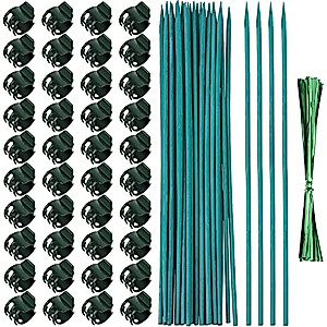 Jetec 40 Pieces Orchid Clips Plastic Garden Plant Clips with 20 Pieces Plant Support Stakes, 20 Pieces Metallic Twist Ties for Supporting Stems Vines Stalks Grow Upright (38 cm)