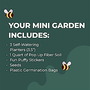 Window Garden Sow Much Fun Seed Starting, Flower Planting and Growing Kit for Kids, 3 Self Watering Planters, Soil, Indoor Outdoor Usage,Seeds and Puffy Stickers. (Marigold)