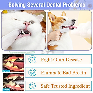 Havenfly Pet Teeth Cleaning Finger Wipes for Dogs & Cats, Dog Dental Wipes for Removing Plaque and Tartar Buildup, No-Rinse Disposable Gentle Cleaning & Gum Care Pet Wipes, 50 Counts