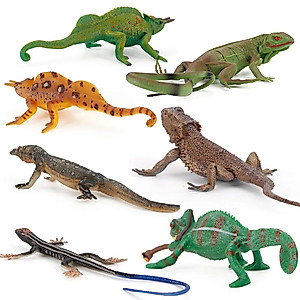 Fantarea Realistic Jungle Animal Figures 7 PCS Set, Chameleon Lizard, Desktop Decor, Cake Toppers, Party Favors for Boys and Girls Ages 5-8