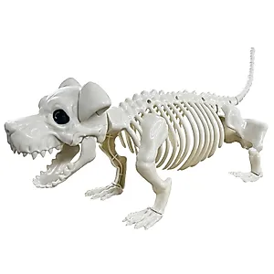 Wocst Halloween Skeleton 19” Pose-N-Stay Puppy Skeleton Plastic Dog Bones with Posable Joints Graveyard Prop for Fall Party Decor Indoor/Outdoor (Skeleton Dog)