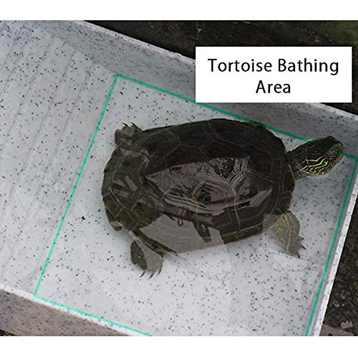 WINGOFFLY Large Reptile Feeding Dish with Ramp and Basking Platform Plastic Turtle Food and Water Bowl Also Fit for Bath Aquarium Habitat for Lizards Amphibians