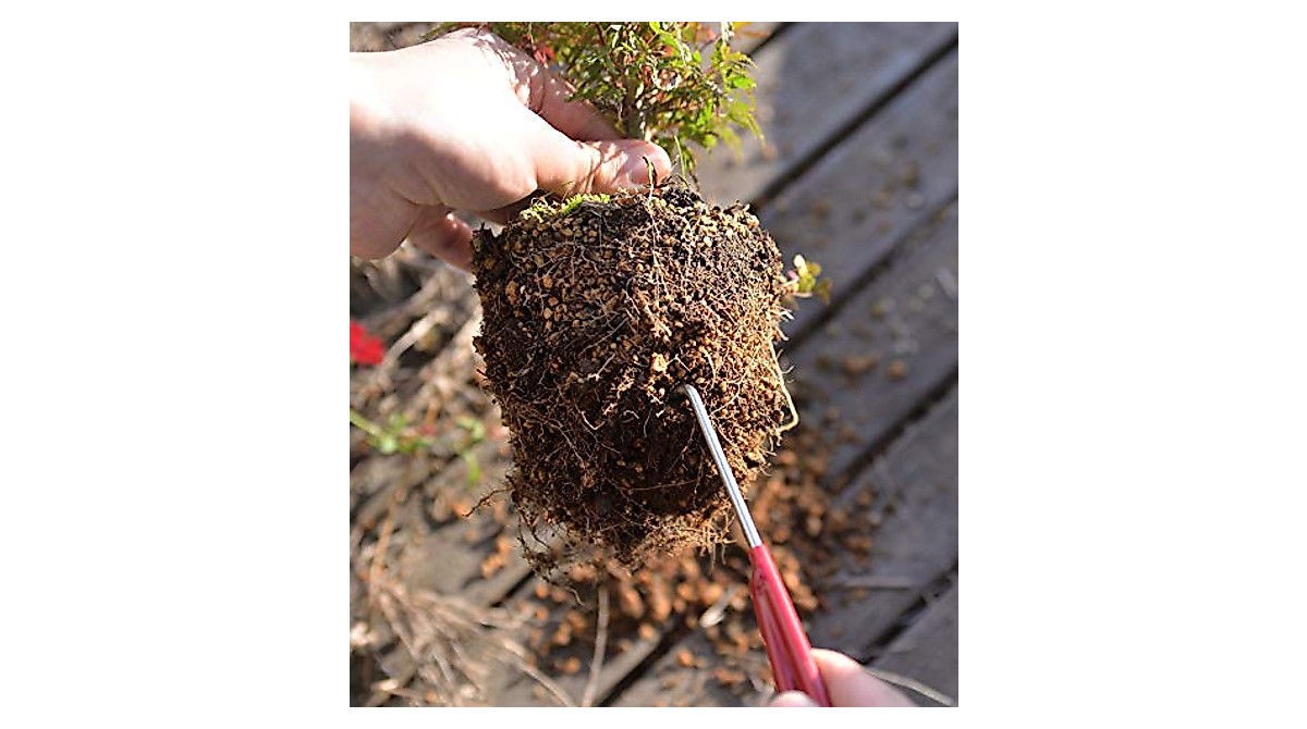 KAKURI Bonsai Root Hook - Professional Japanese Root Picking Tool