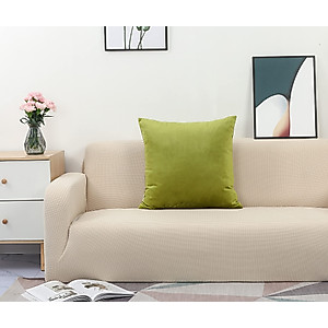 TangDepot Set of 2 Velvet Throw Pillow Covers, Super Soft, Euro Pillowcases - (24x24 Inch 2 Pieces, G01 Olive Green)