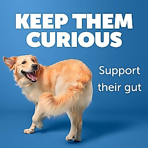 Protexin Daily Care Gut+ Skin & Coat, 60 postbiotic Dog Supplement Chews – Salmon and Sweet Potato Flavored