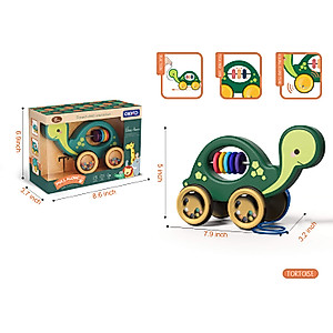 Toddler Push & Pull Toys, Pull-Along Baby Toy with Rubber Rimmed Wheels for Easy Push and Pull Action, Family Early Learning and Motor Skills Toy, Best Birthday Gifts for Pre-Kindergarten(Tortoise)