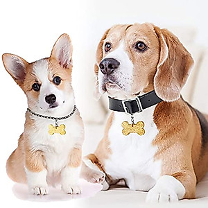 11 Cavities Silicone Dog Bone Shaped Tag Mold Cat Tag Fish Mold Keychain Pendant Clay Mold Pet Dog Tag Resin Molds Circle Round Pendant Epoxy Casting Mould for DIY Homemade Crafts Making