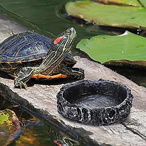 Ipetboom Reptile Food Bowl Reptile Water Bowls Reptile Feeder Food Dish Simulated Rock Food Bowl Terrarium Water Bowls Worm Dish for Tortoise Lizard Bearded Dragon Frog Leopard Gecko Snake