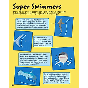 Shark Facts & Activity Book For Kids 5-9: Activities and Information on Hammerhead, Tiger, Great White, Whale Sharks and more with Coloring, Mazes, Experiments (Gold Stars Series)