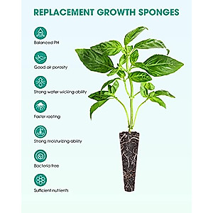 16 Pack Replacement Grow Sponges, Seed Starter Pods Compatible with AeroGarden, Seed Pod Kit Root Growth Sponges Hydroponic Sponges Kit, Refill Pods for Hydroponics Indoor Garden Growing System