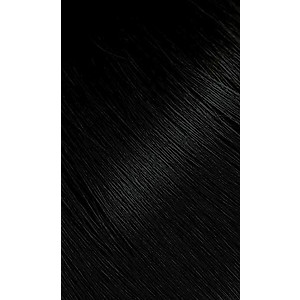 #59 Oriental Black Bigen Permanent Powder - 6 Pack