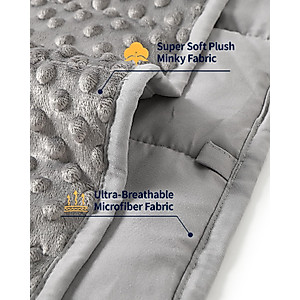 Mr. Sandman Weighted Lap Blanket 2LBS 20 x 30 Inches, Minky Dots Heavy Blanket with Glass Beads, Soft and Cooling for School and Home, Grey