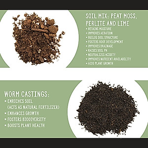 All-Purpose Bonsai Potting Mix (4 Quarts), All-Natural Organic Nutrient-Rich Bonsai Soil Mixture