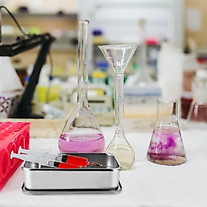 Baluue Stainless Steel Instruments Trays with Lid, Plate Trays Boxs, Sterilized Metal Box Organizer for Lab Instrument Container Supplies Silver 8 Inch