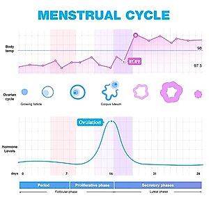Easy@Home Ovulation Test Strips, 25 Pack Fertility Tests, Ovulation Predictor Kit, Powered by Premom Ovulation Predictor iOS and Android App, 25 LH Strips