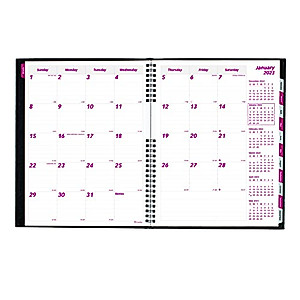 Brownline CoilPro 14-Month Ruled Monthly Planner, 11 x 8.5, Black Cover, 14-Month (Dec to Jan): 2022 to 2024