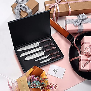 PAUDIN Kitchen Knife Set, Ultra Sharp Knife Set with Pakkawood Handle, High Carbon Stainless Steel Knives Set for Kitchen, 5 Piece Chef Knife Set Come with Gift Box