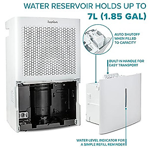 Ivation 4,500 Sq. Ft Energy Star Dehumidifier, Large Capacity Compressor De-humidifier for Extra Big Rooms and Basements w/Continuous Drain Hose Connector, Humidity Control, Auto Shutoff and Restart