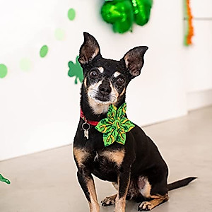 H&K Pet Pinwheel | Lucky Charm (Small) | St. Patricks Day Velcro Collar Accessory for Dogs/Cats | Fun Pet Pinwheel Collar Attachment | Cute, Comfortable Pet Accessory