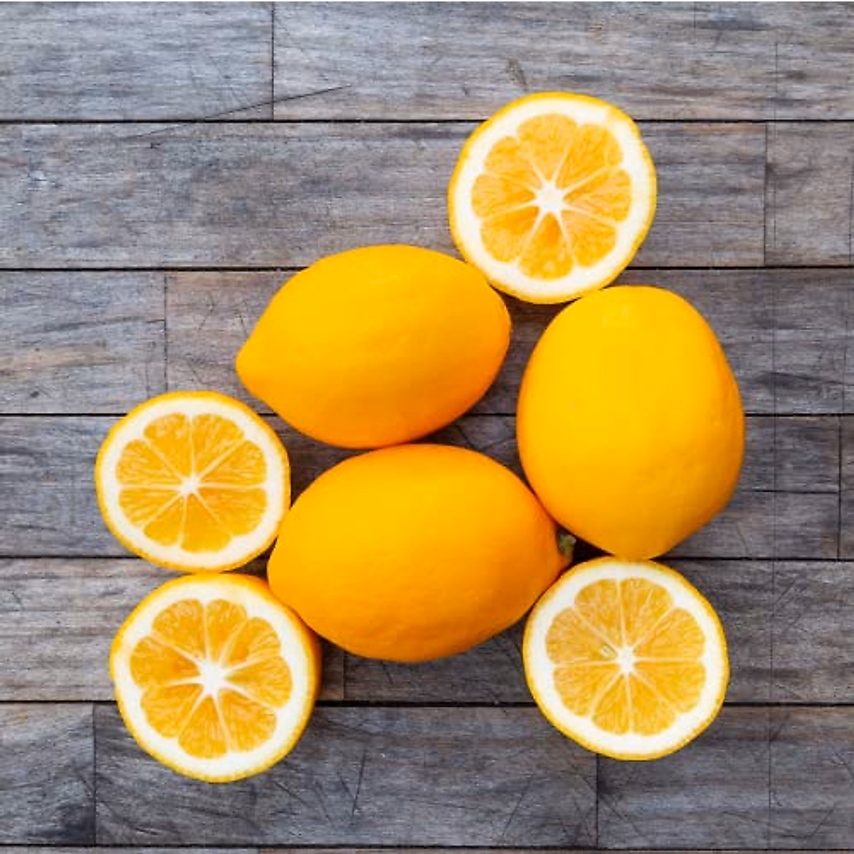 CHUXAY GARDEN 10 Seeds Citrus Limon 'Meyer',Dwarf Lemon,Valley Lemon,Meyers Lemon Hybridize Sweet Fruit Gardening Gifts Non-GMO Green Organic Low-Maintenance