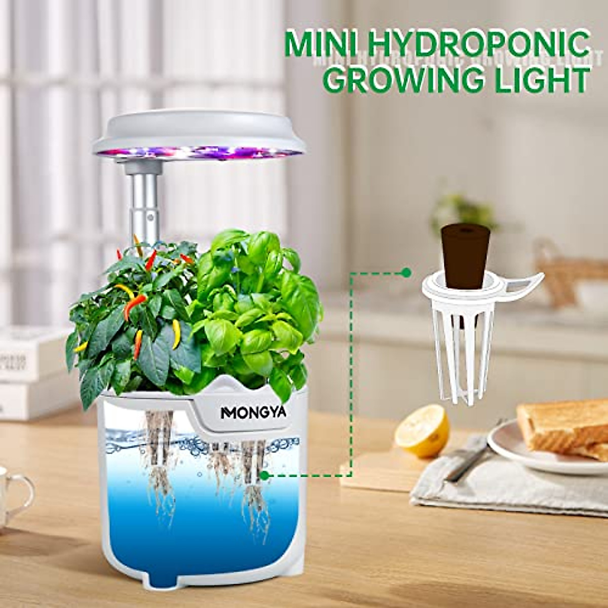 Mini Hydroponics Growing System, Indoor Herb Garden Kit with LED Grow Light, Smart Hydroponic Garden Germination Kit for Home Kitchen, Automatic Timer,Height Adjustable, Bonus 9pcs Sponges (White)