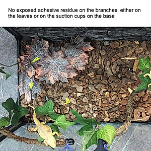 Reptile Corner Branch, 2 pcs Plastic Strong Durable Imitation Bendable Jungle Climbing Vine Suction Cup Design Flexible Terrarium Plant Decoration for Amphibian Lizard Snake Gecko Bearded Dragon Cage