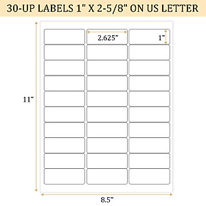 Address Labels for Inkjet Printers 1" x 2-5/8", Pack of 3000 Labels